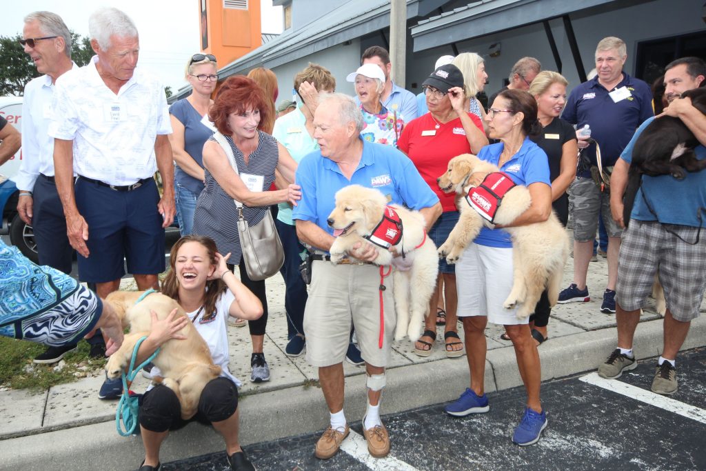 35 Stories for 35 Years: Story #3 – The Golden PAWS Story: The ...