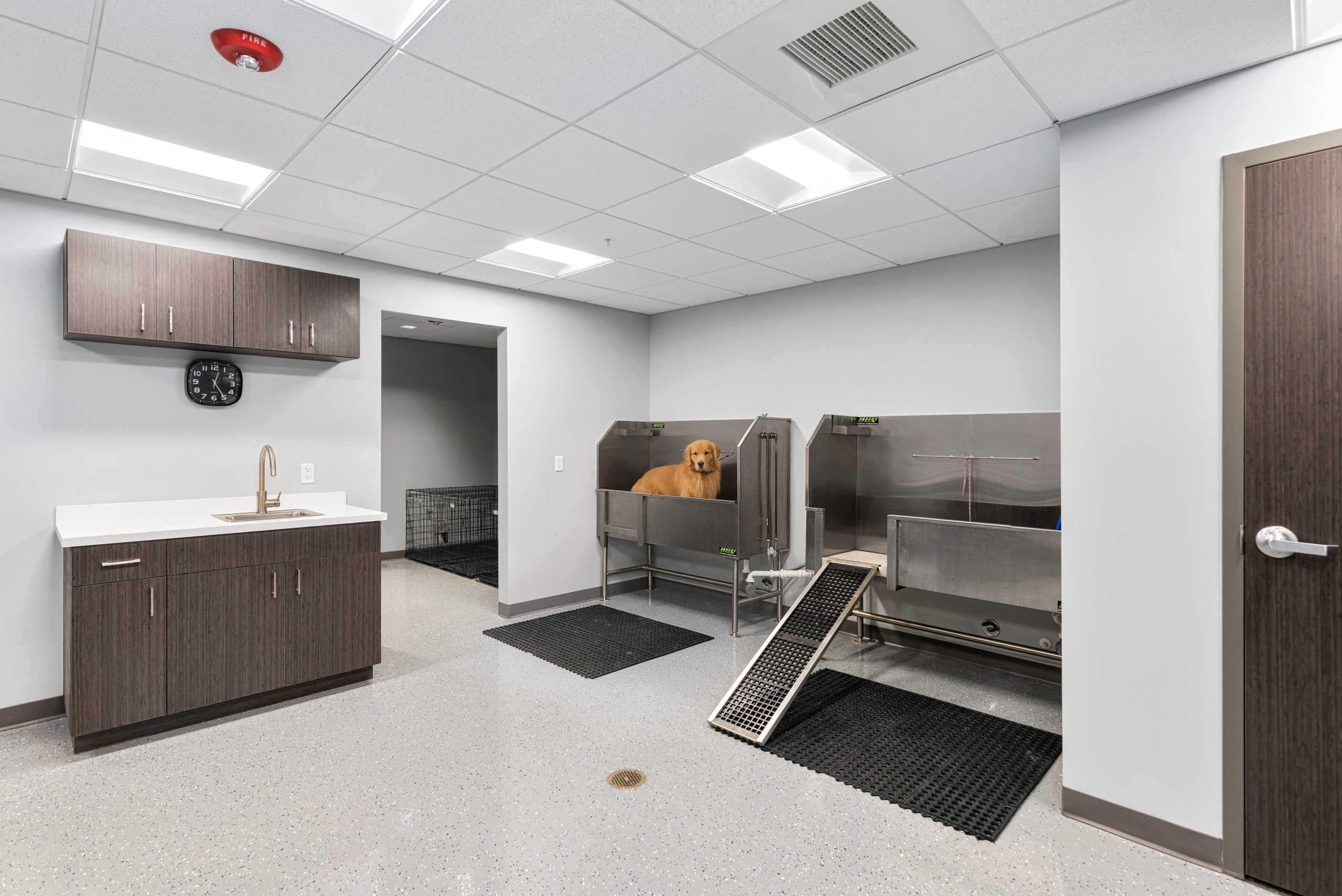 Golden PAWS - PBS Contractors